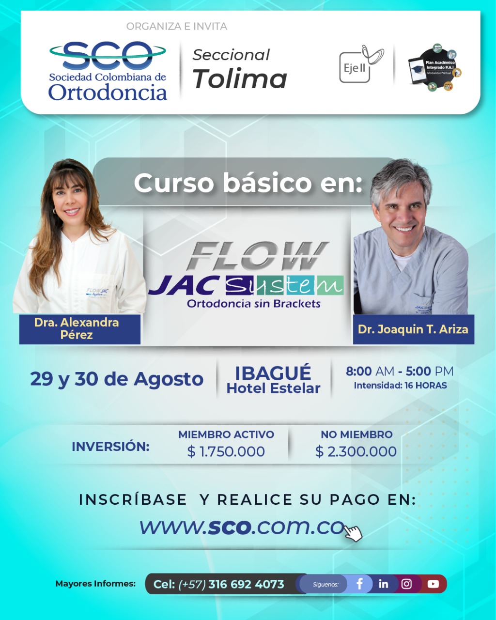 Curso Básico Flow Jac System | SCO